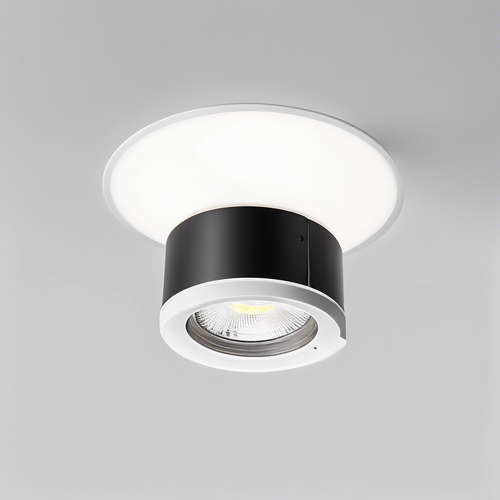LED Ceiling Light Fixture | Earth Engineers Ltd