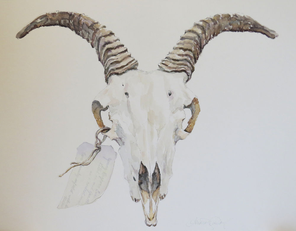 Bones - A real STILL Life