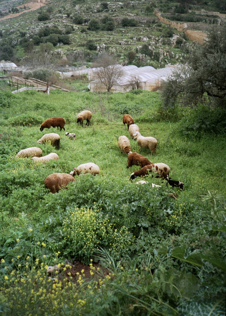 photo // searching for home | maria marrone