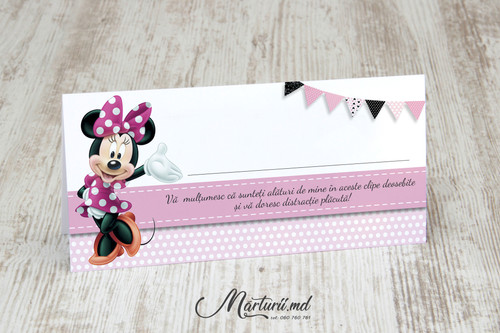 PC-041 Plic pentru bani la cumetrie Minnie Mouse | HappyMoments.md