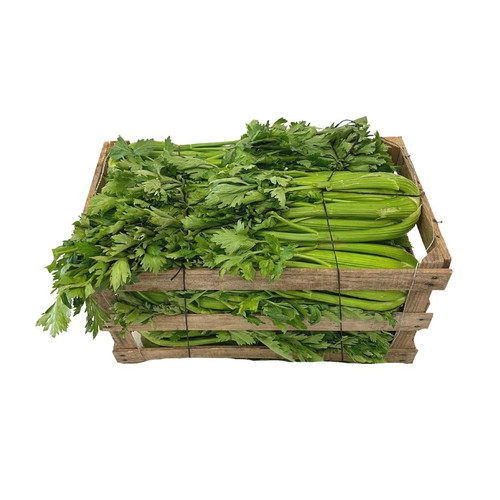 Caja de Apio Americano 23kg | DAC Playa del Carmen