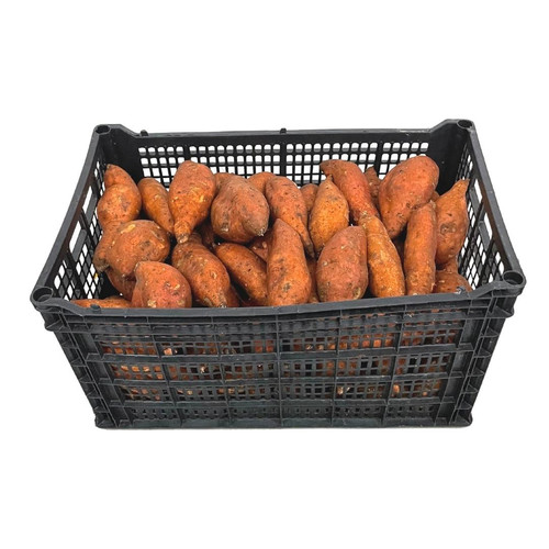 Caja de Camote Amarillo 15kg | DAC Playa del Carmen