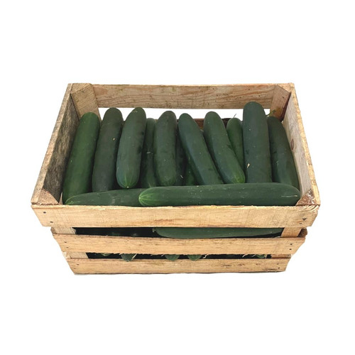 Caja de Pepino Verde 23kg | DAC Cancún
