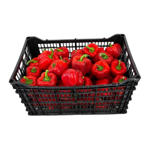 Caja de Pimiento Morron Rojo 10kg | DAC Playa del Carmen