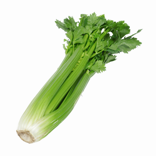 APIO AMERICANO 1.15kg | DAC Quality Foods