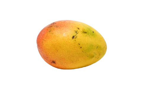 Mango Hayden 500gr | DAC Cancún