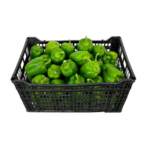 Caja de Pimiento Morron Verde 10kg | DAC Cancún