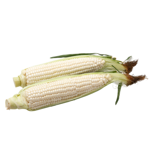 Elote 450gr | DAC Cancún