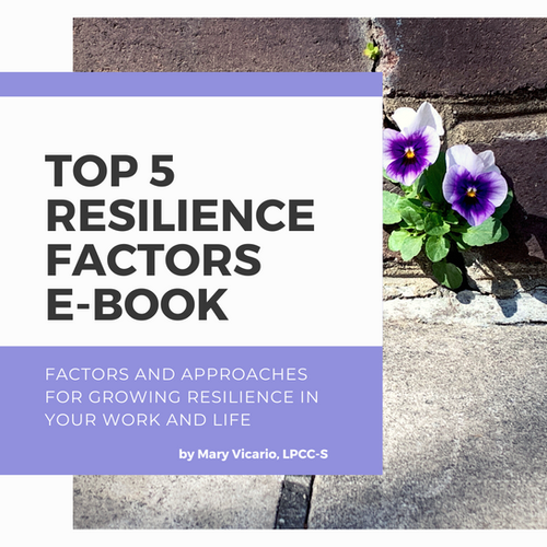 Top 5 Resilience Factors E-BOOK | Finding Hope Consult