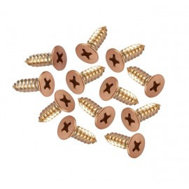 T171 Wood Screws 12 Set for 20mm Partition | bch-limited