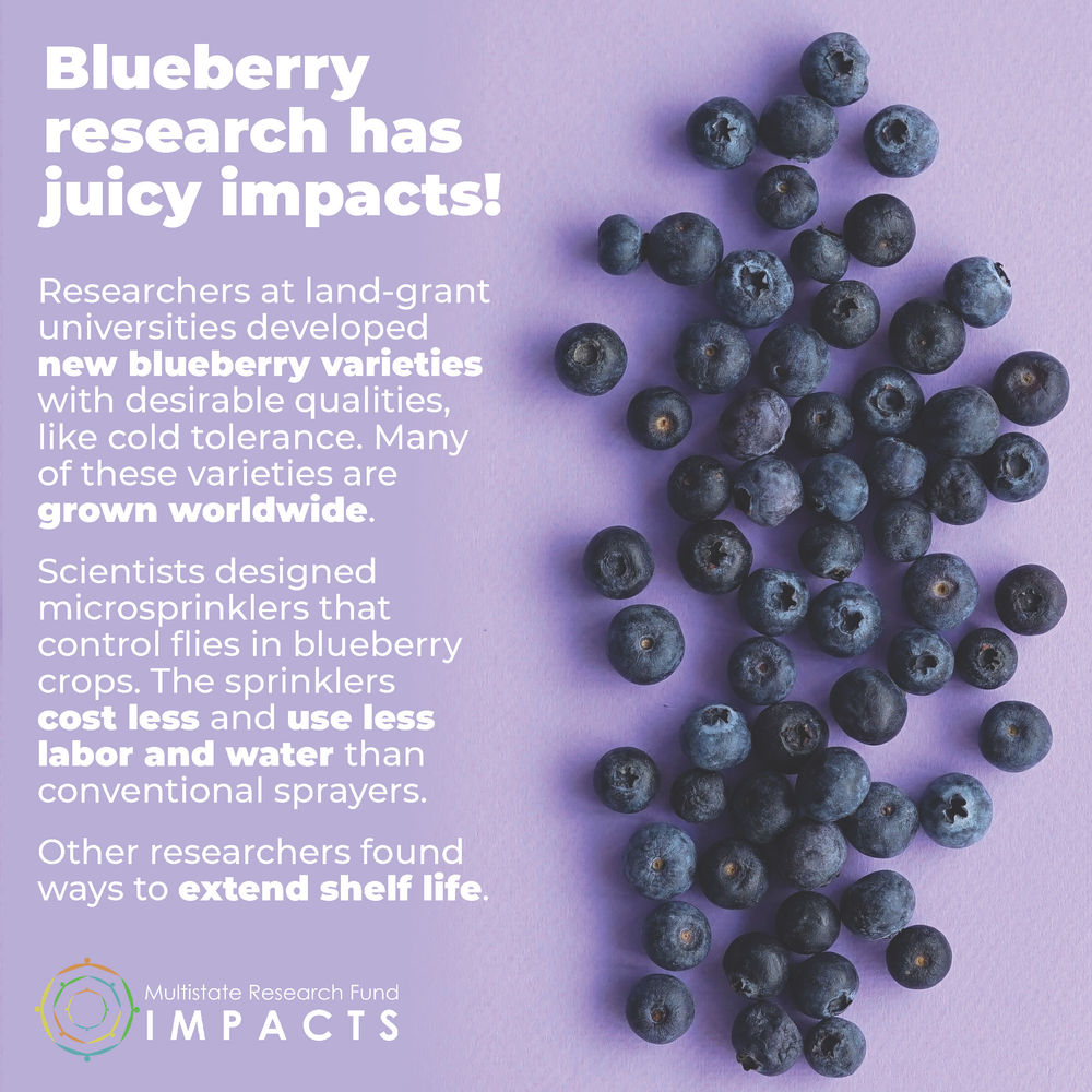 Juicy Blueberry Research