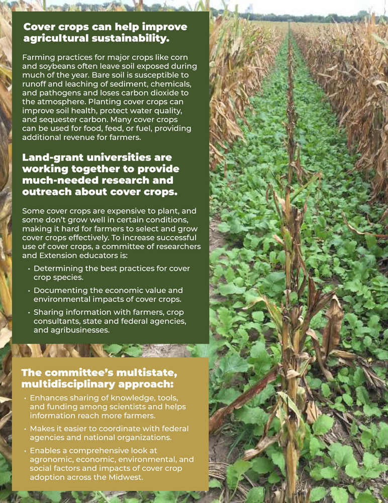 Sustainable Cover Crops