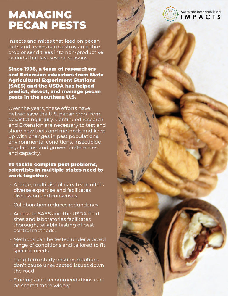 Managing Pecan Pests