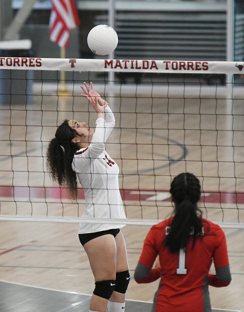 Torres volleyball showing improvement