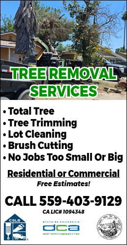 Central California newspaper | Madera Tribune