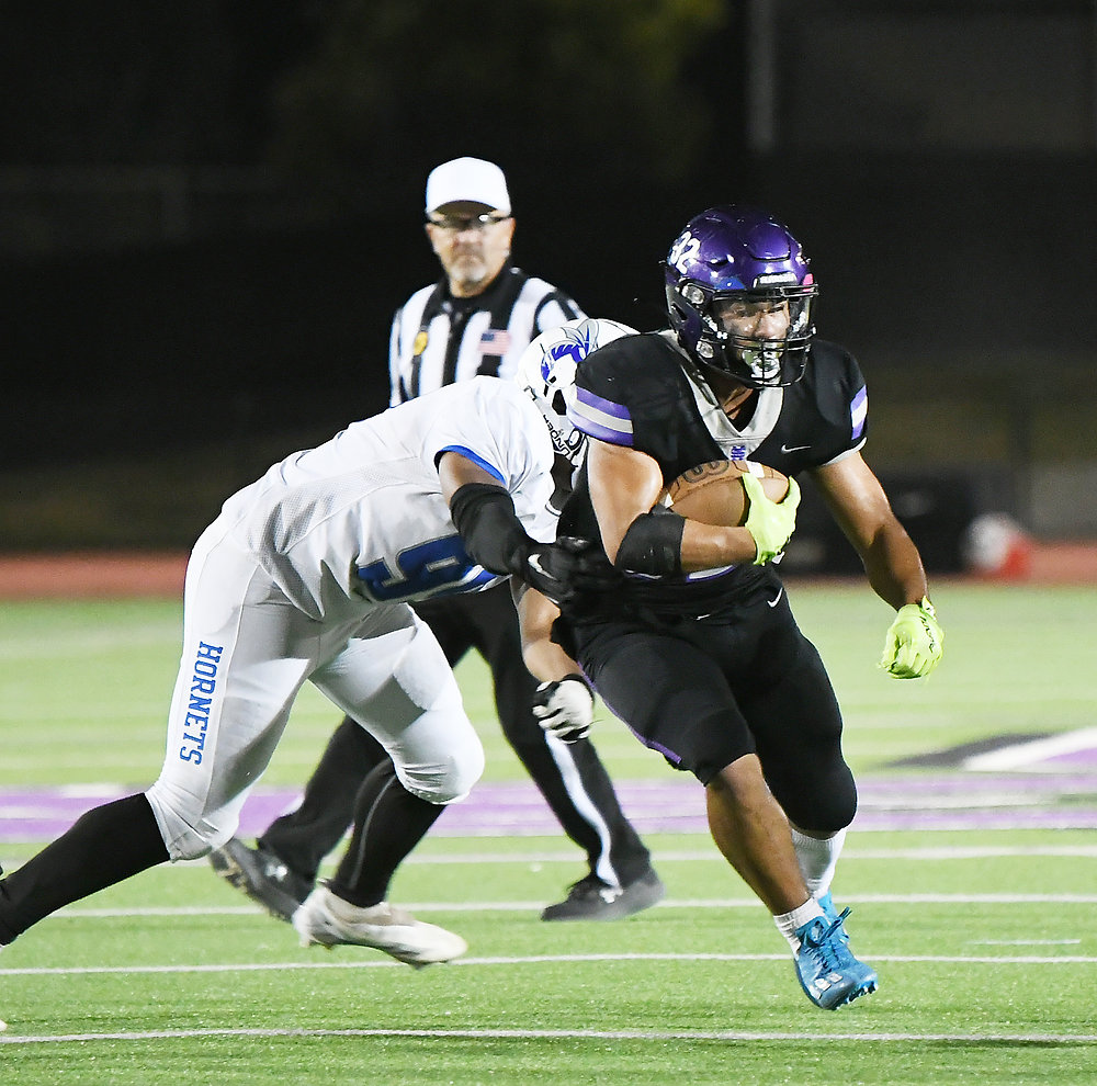 Stallions dominate in home win