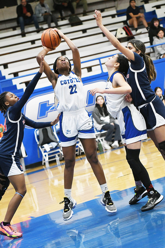 Coyotes no match for Panthers