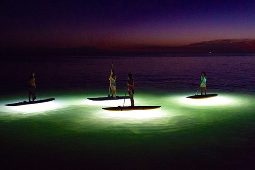 Underwater lighting system | Paddle Pirates