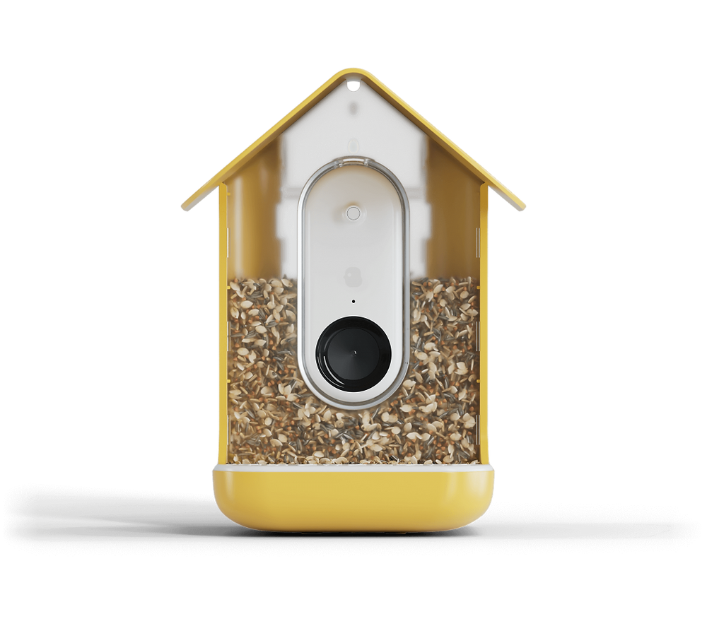 Bird Buddy –Real, Unbiased Review