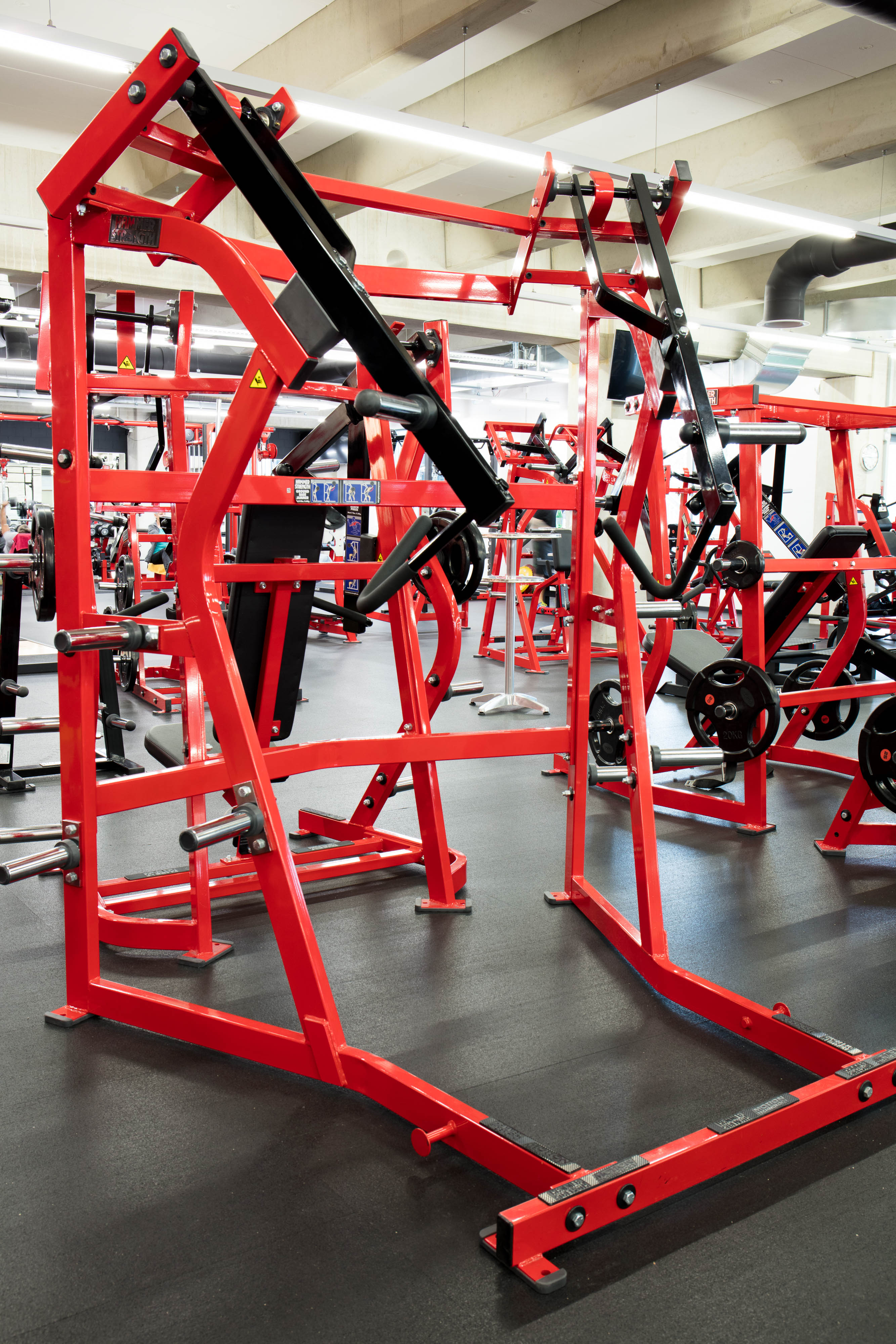 CLASSICS | silverbackfitness