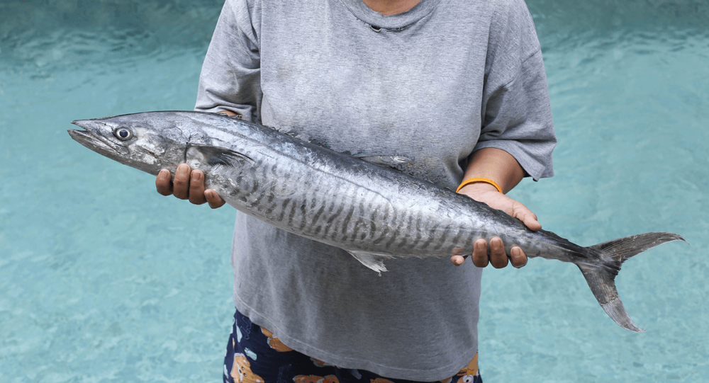 King Mackerel Fishing Guide LULU Charter Fishing