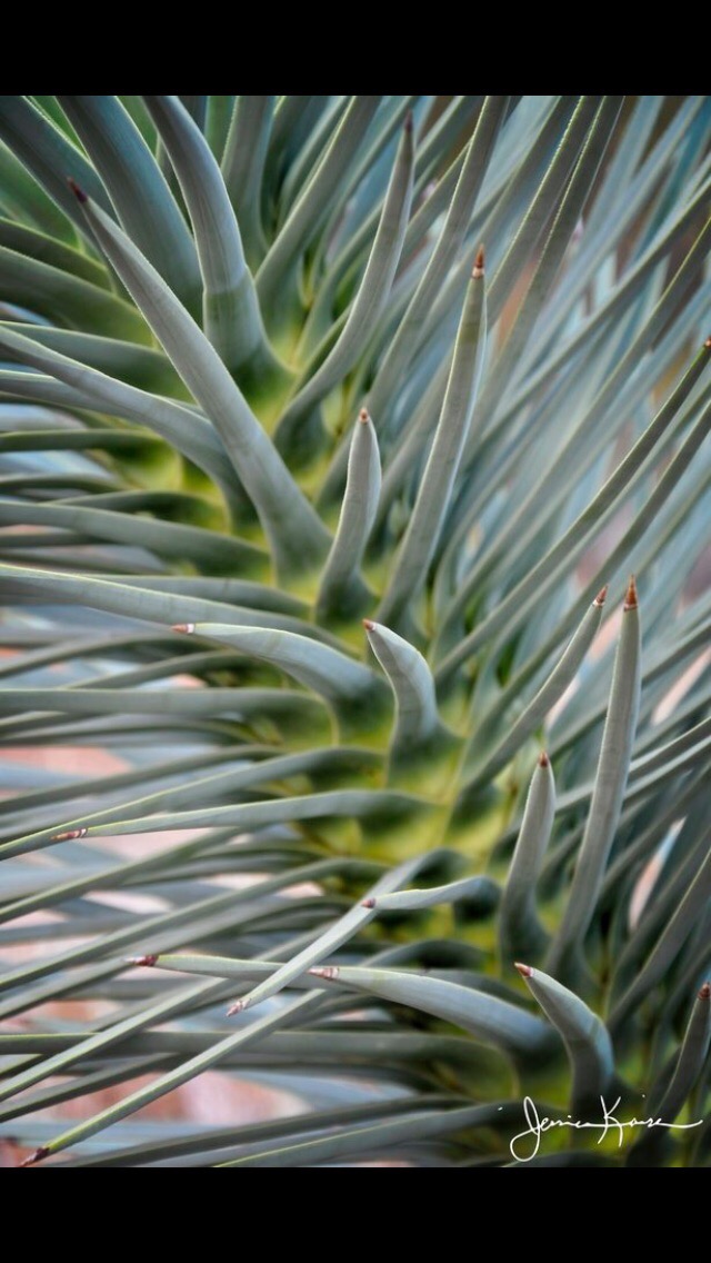 cover-image