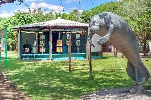 QUEM SOMOS | Aquasis