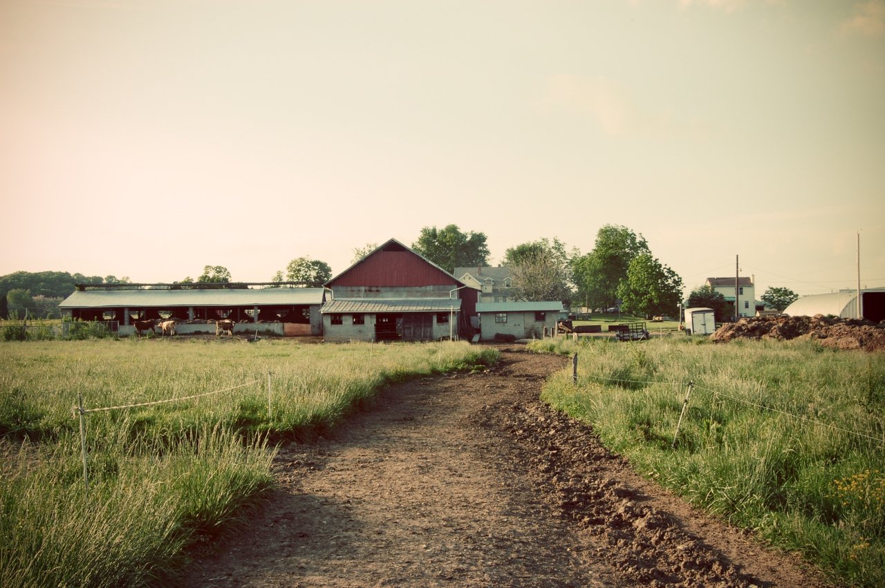 Our Farm | thecreamery