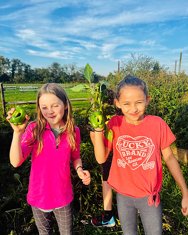 Farm Learning | thecreamery