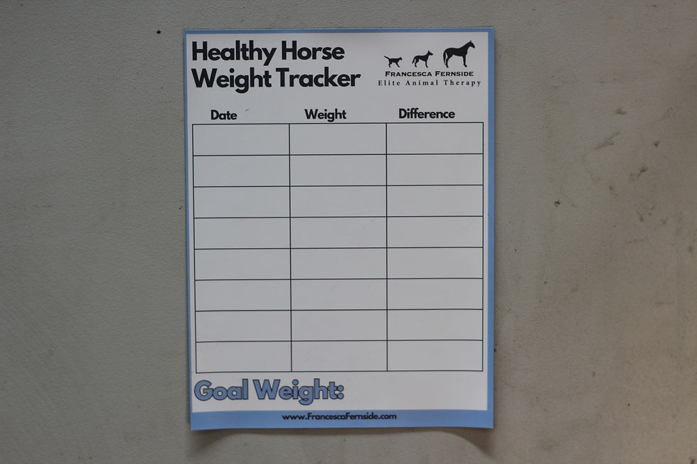 Healthy Horse Weight Tracker | ELITE ANIMAL THERAPY
