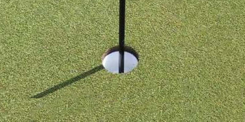 Semillas de pasto Creeping Bentgrass 007 | Semillas Casa Cobo