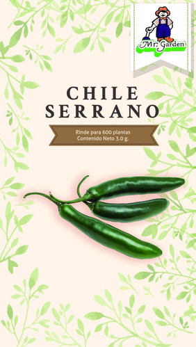 Semillas de chile serrano para siembra