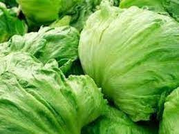 Semillas de lechuga White Boston | Semillas Casa Cobo