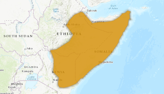 The Naked Mole Rat (Heterocephalus glaber)