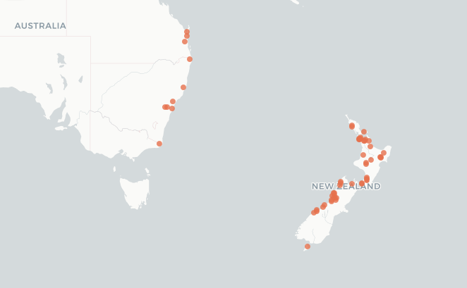 Werewere-Kokako (Entoloma hochstetteri)
