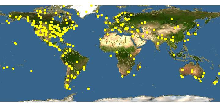 The Dandelion (Taraxacum officinale)