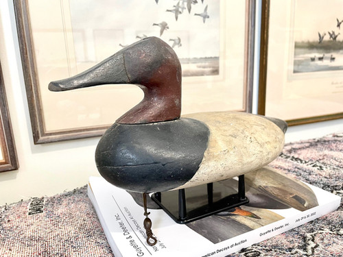 SOLD Vintage Upper Bay Canvasback Decoy C 1940 | The Outlaw Gunner