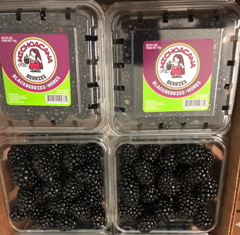 ABOUT US | Frontera Produce