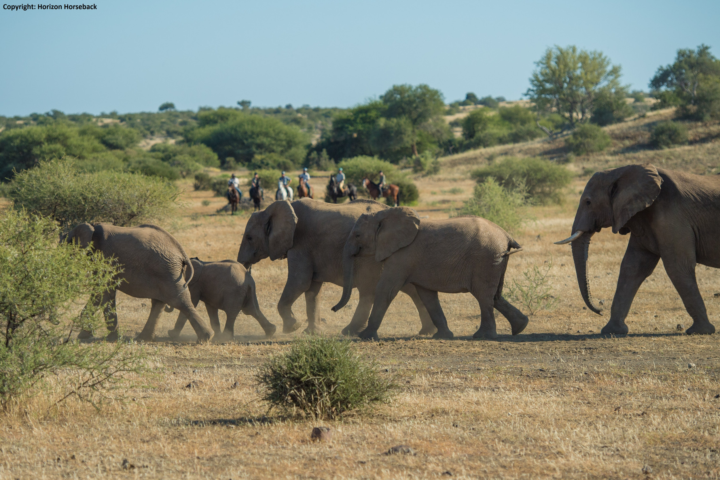 The Tuli-Mashatu Horse Riding Safari | Botswana | Entre Orejas