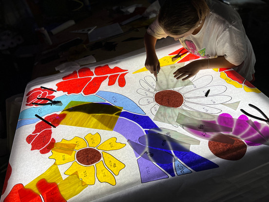 PROJECTS | Ion Art