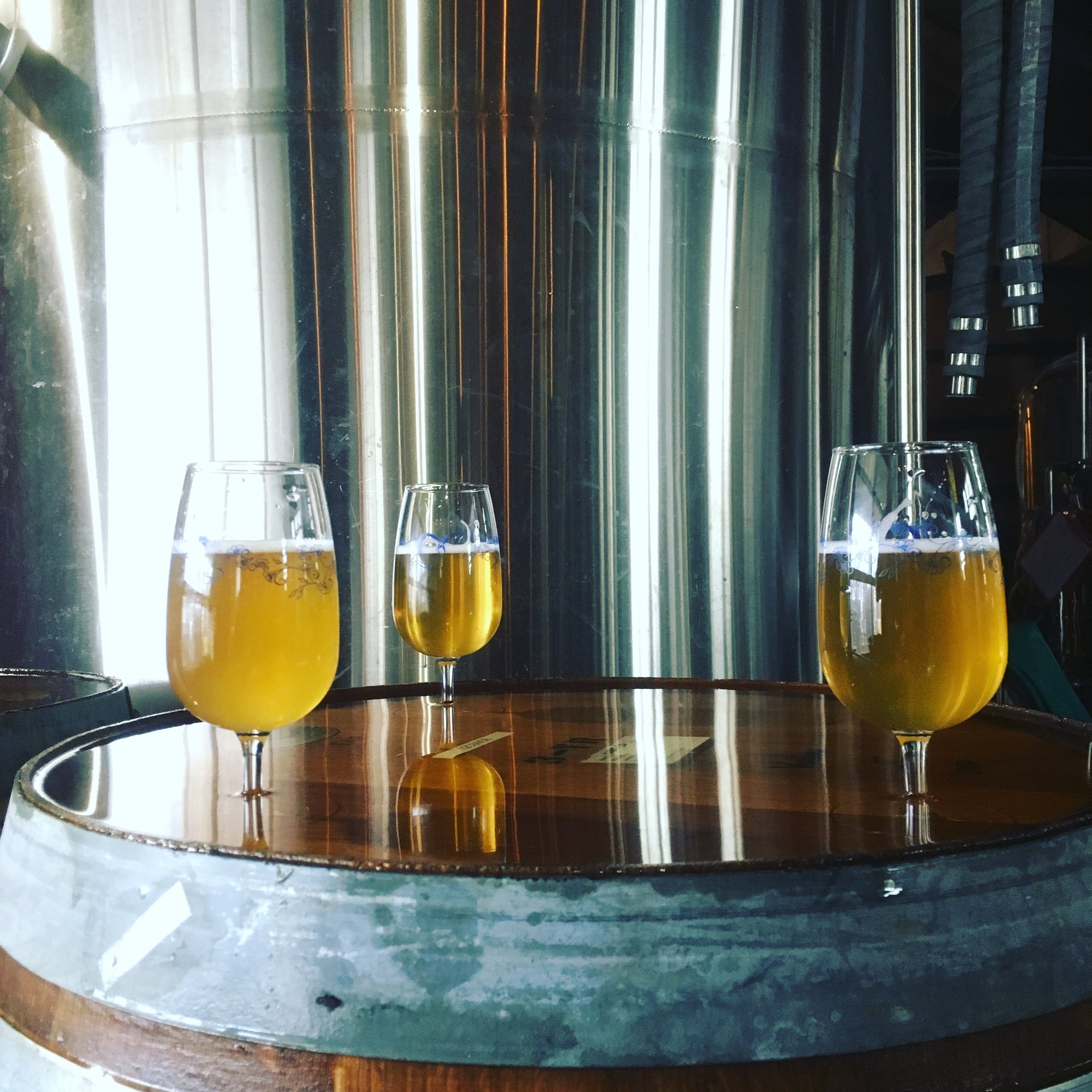 Brewery and Taproom | Cellarest Beer Project | Asheville