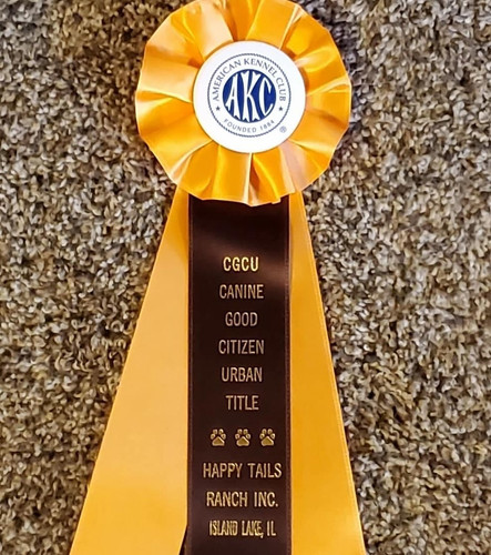 CGC, CGCA, CGCU, or Trick Dog Test | happytailsranch