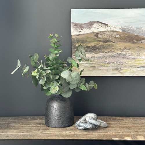 'EASY EUCA' | Curated Botanics