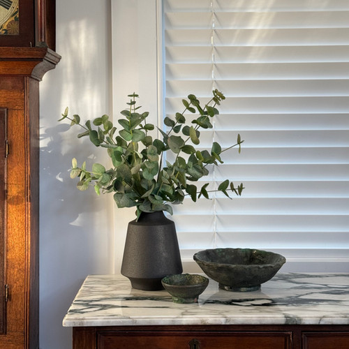 'EASY EUCA' | Curated Botanics