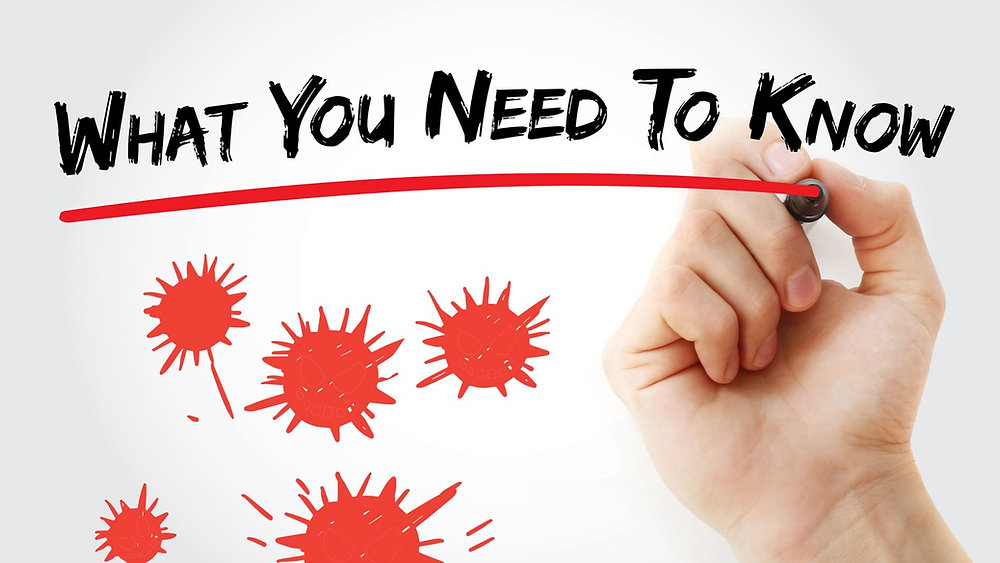 Black mold and water damage what you need to know