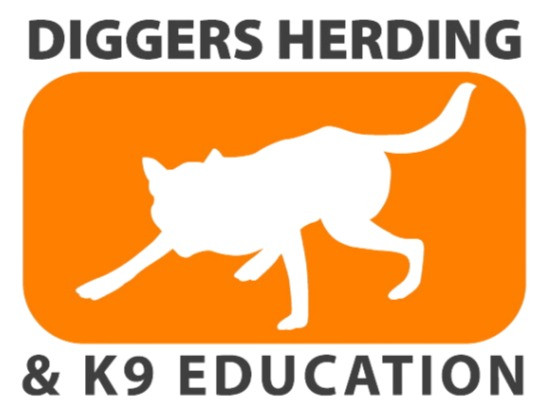 Diggers Herding & K9 Education | dog training