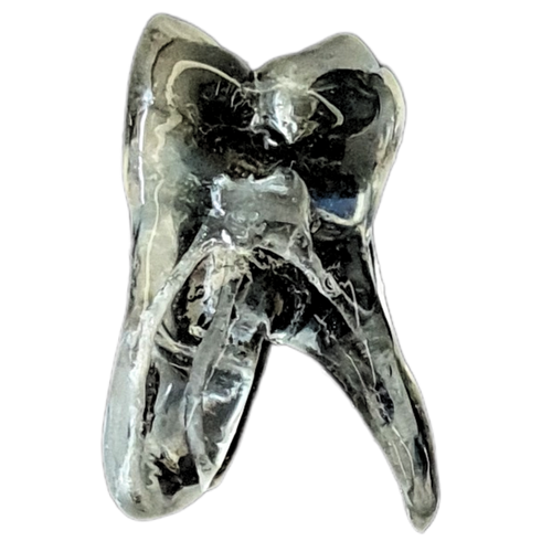 EndoClear 4 CANAIS 16 | Biom 3D