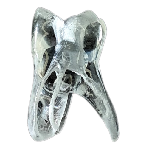 EndoClear 4 CANAIS 16 Acessado | Biom 3D