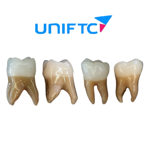 Kit ENDO Urgência - UNIFTC | Biom 3D
