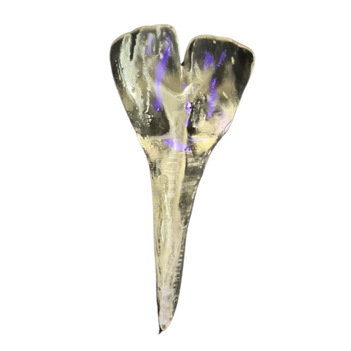 EndoClear VARIANCE 32 Geminado | Biom 3D